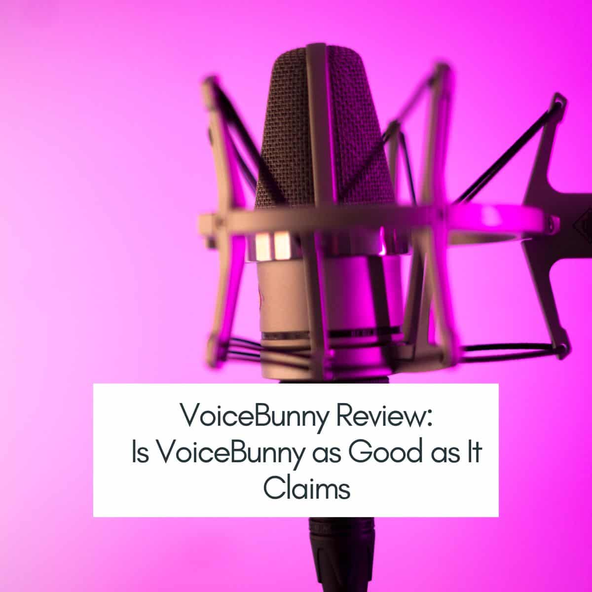 VoiceBunny Review: Is It as Good as It Claims? - This Mama Blogs