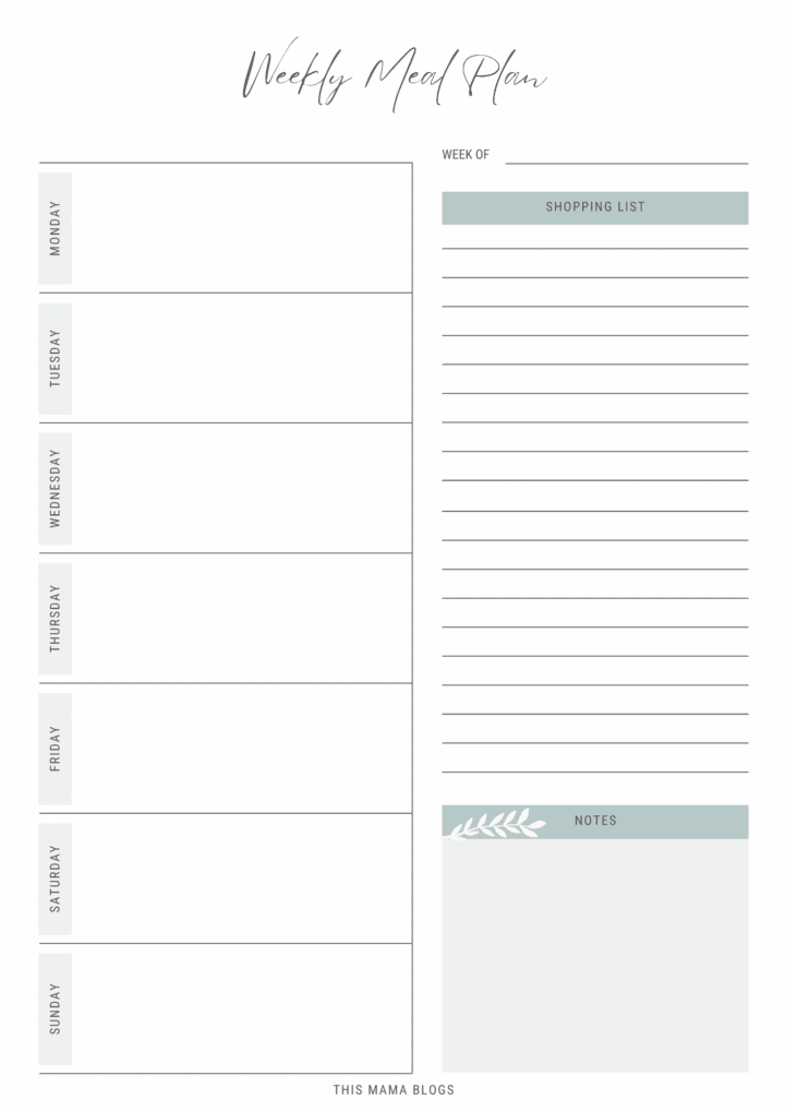 Sample Budget Family Meal Plan for August to Save Money - This Mama Blogs